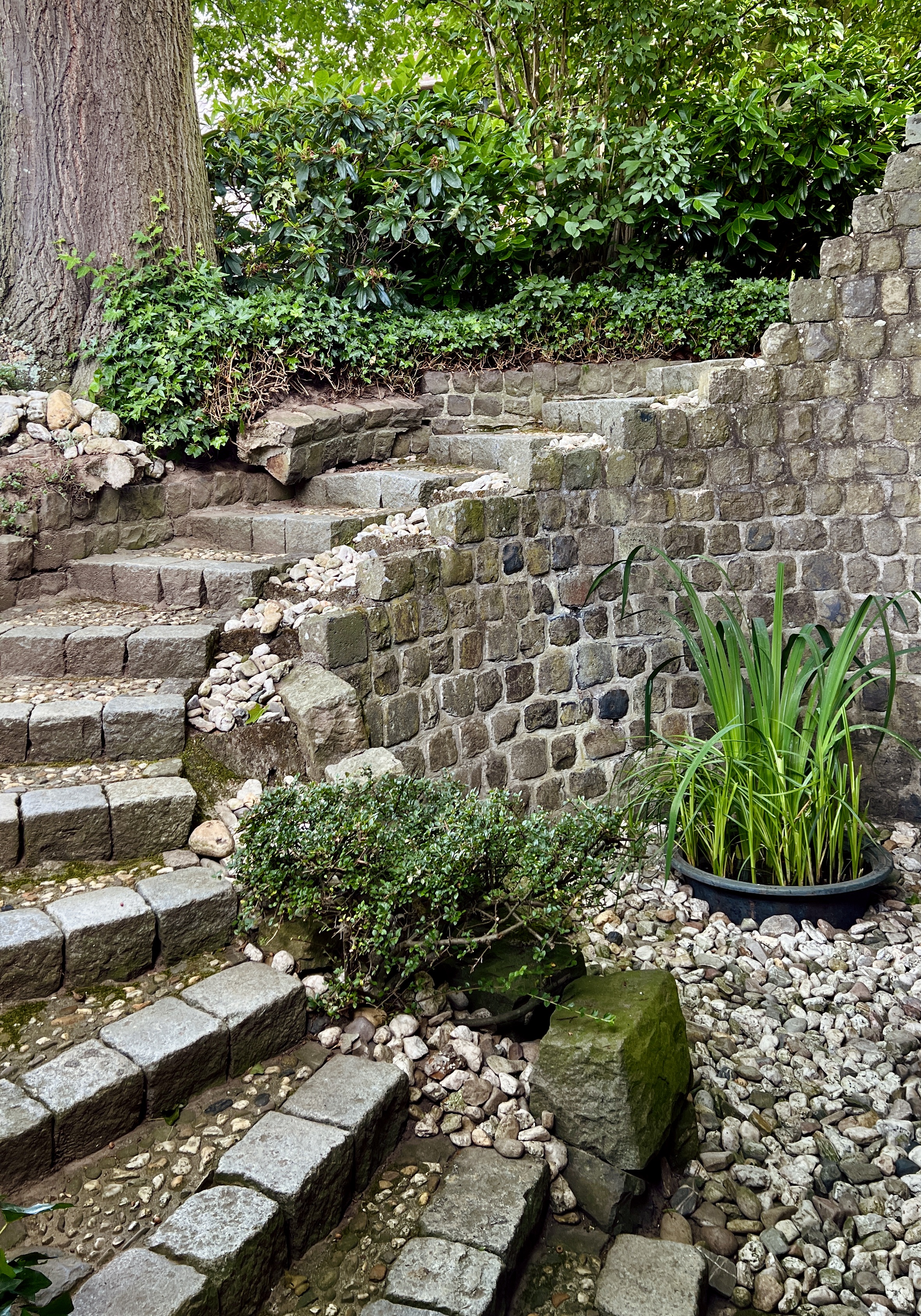 Der Edle Achtfache Pfad Zenweg